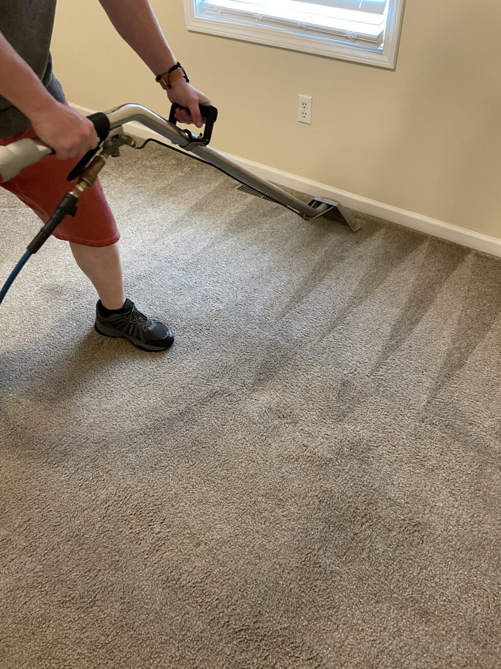 Our Services | Rohrs Carpet Cleaning
